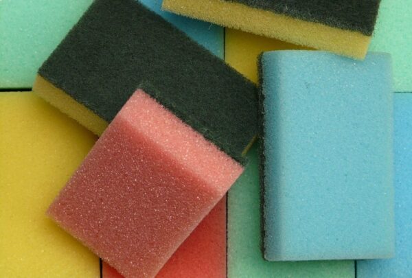 Building a STEM Sponge Sprout House – ThinkStretch